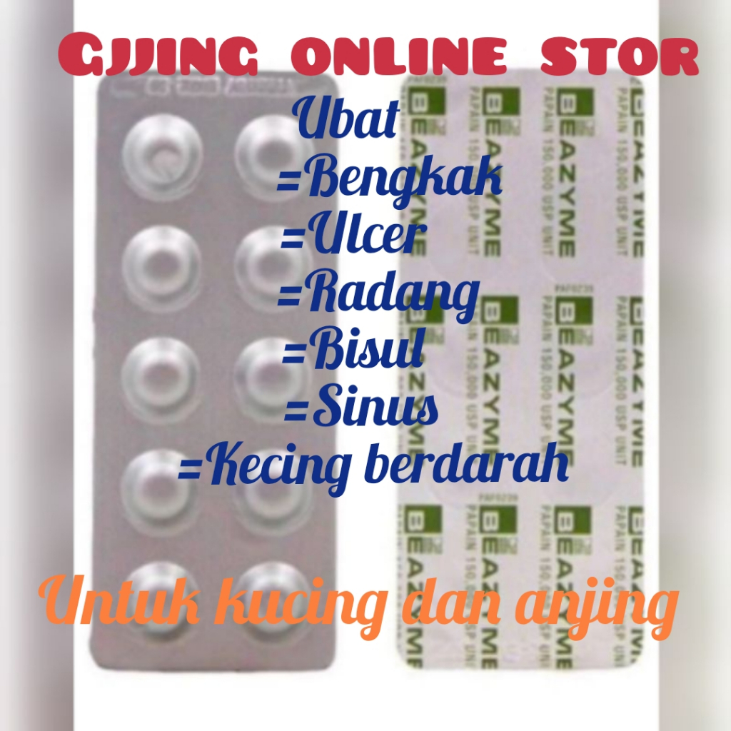 rawat Bengkak/Ulcer/Bisul/Tahan Sakit Kucing Haiwan Peliharaan 10 biji ...