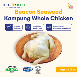 Beacon Mart Official Store Online, January 2024 | Shopee Malaysia