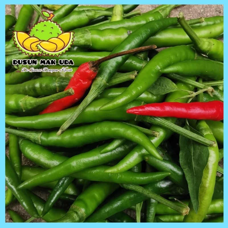 Cili Padi Hijau Thai Segar Fresh Tomyam Sambal Belacan Order Baru Petik ...