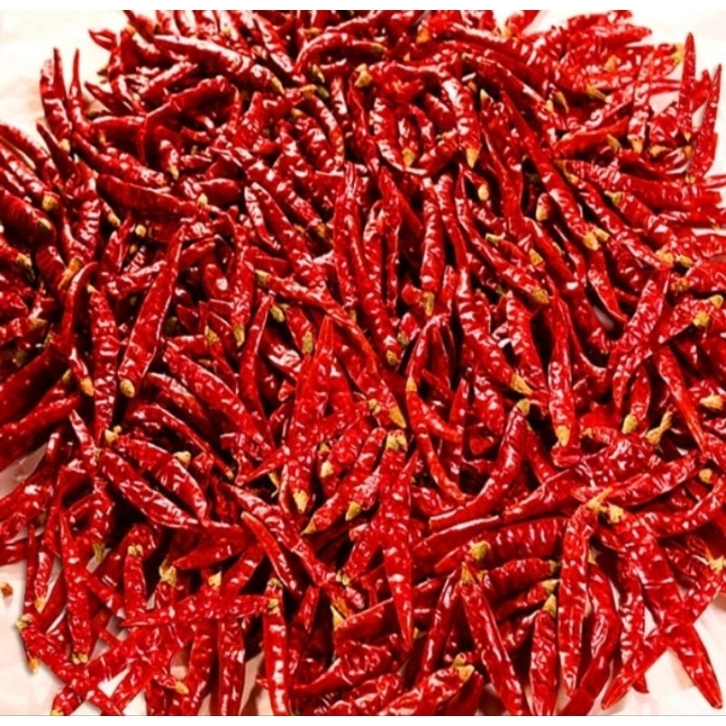 super hot dry chili 50g | Shopee Malaysia