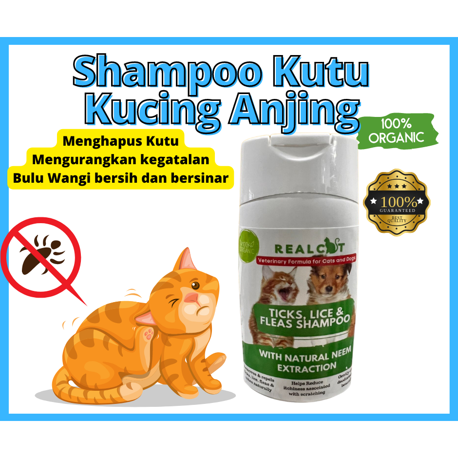 Syampu Kutu Kucing Shampoo Kutu Kucing Cat Shampoo Anti Flea Shampoo for Cat 100ml | Shopee Malaysia