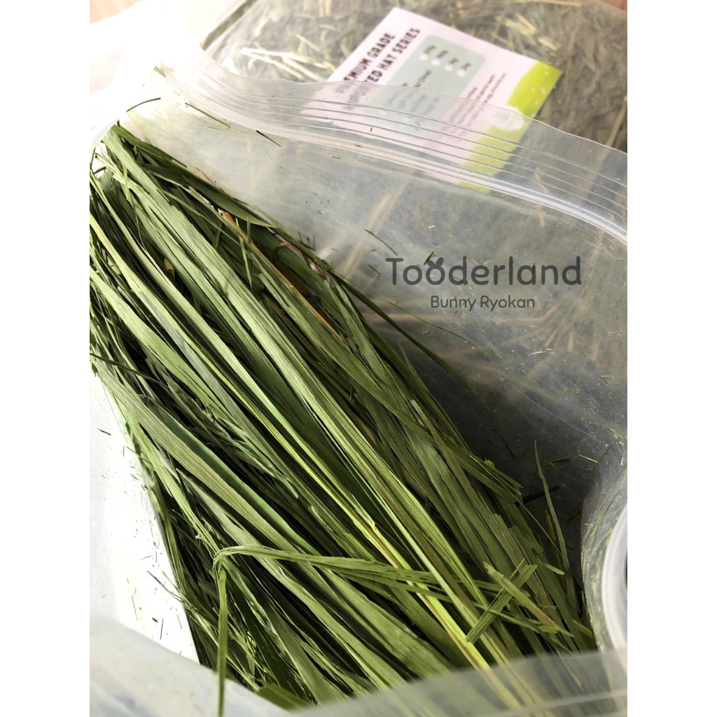 Premium Dried Oat/ Timothy Hay 500g [Rabbit, Guinea Pig, Chinchilla ...