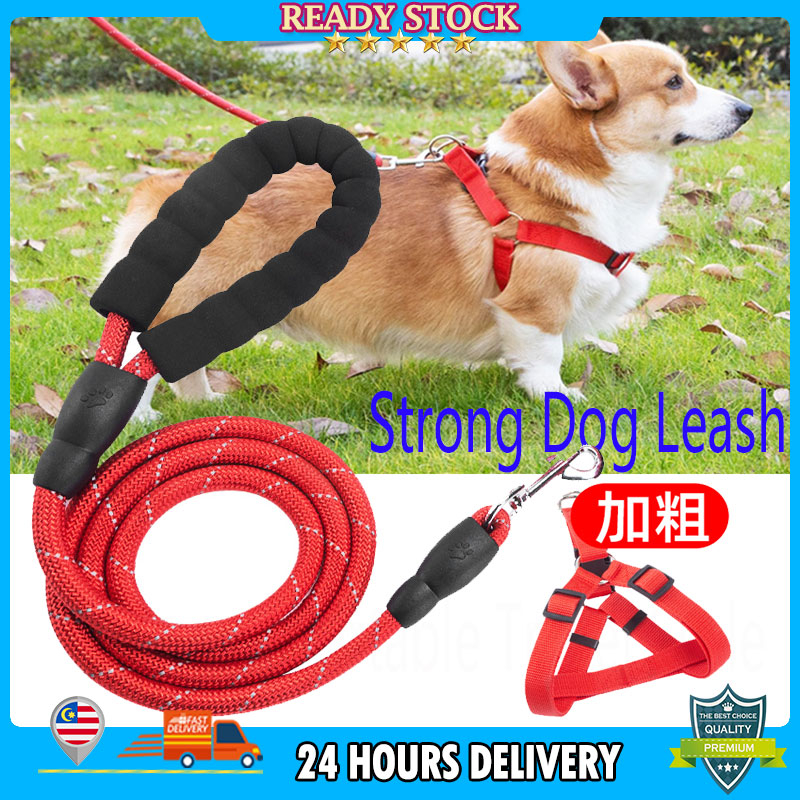 Strong Dog Leash with Comfortable Padded Handle and Highly Reflective ...