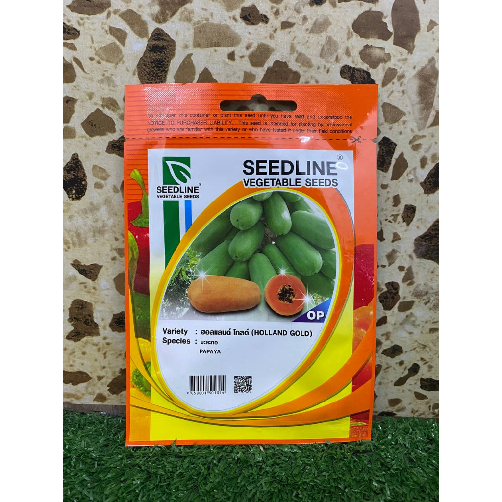 Benih Betik Sekaki HOLLAND GOLD Cap Seedline (10 biji) | Shopee Malaysia