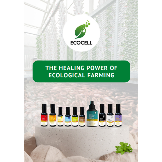 EcoCell Skin & Wound Healing Essence | Shopee Malaysia
