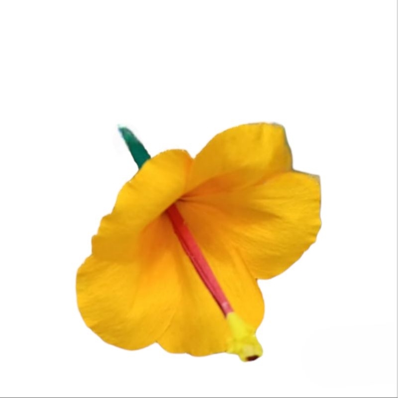 Bunga Raya Kertas / Bunga Raya Merdeka / Bunga Tangan (Handbouque ...