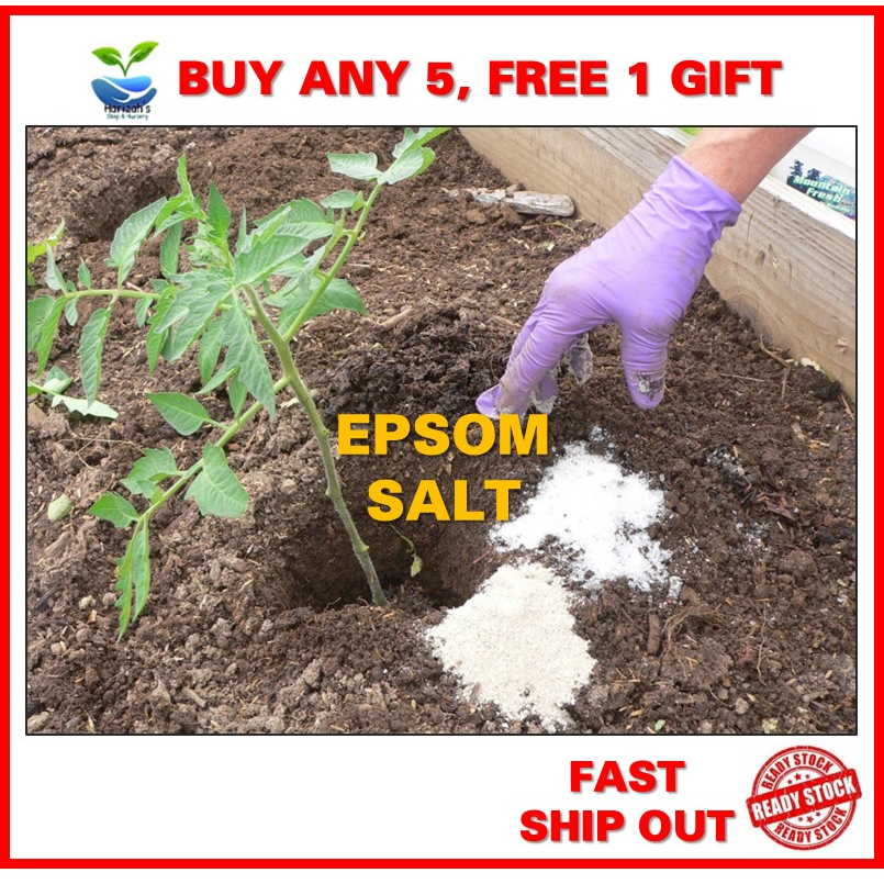 50 gram EPSOM SALT garam untuk pokok sihat atau untuk rendam kaki atau ...