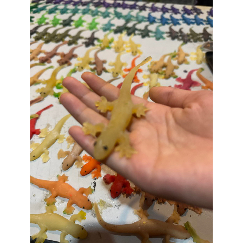 rubber lizard ( colourful ) | Shopee Malaysia