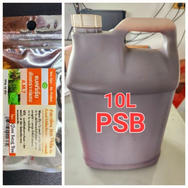 1 PSB capsule = 10L PSB liquid ( original from Thailand )- 一颗光合菌胶囊 等于 十公升光合菌，泰国正宗, 菌种 | Shopee ...