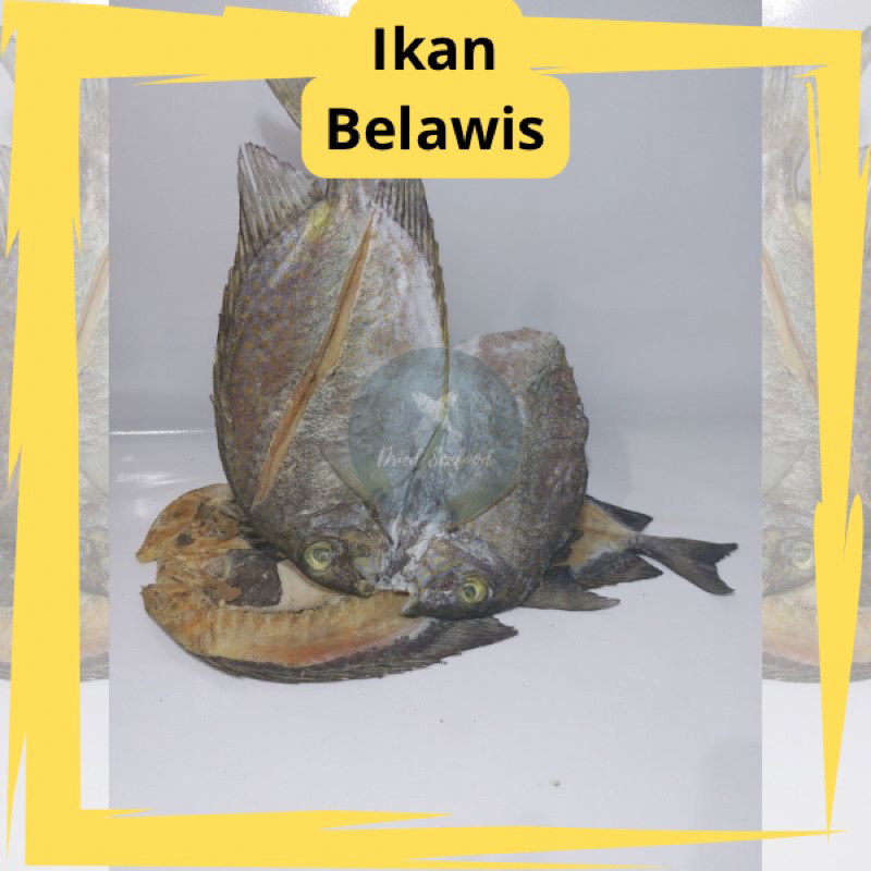 IKAN MASIN BELAWIS 1KG ( KURANG GARAM ) | Shopee Malaysia