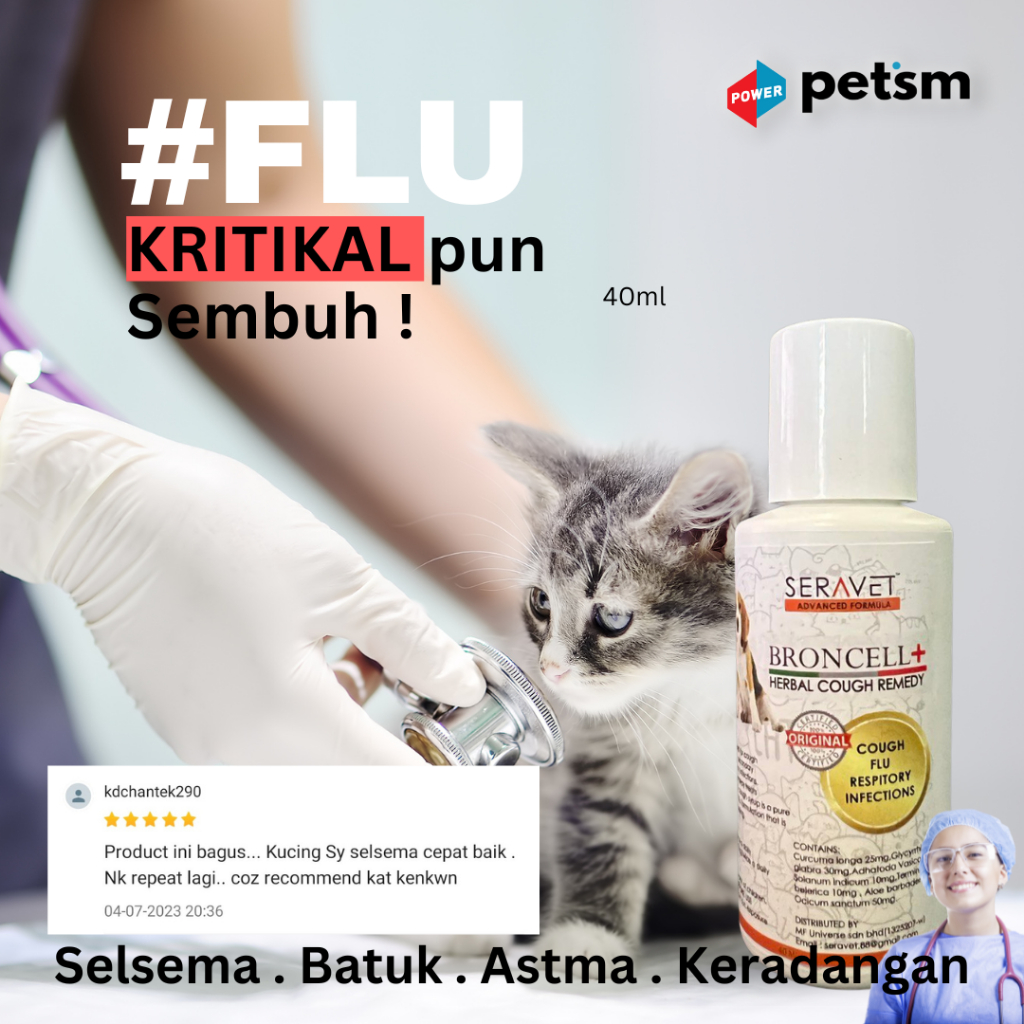 (𝗔𝗹𝗹 𝗜𝗡 𝟭) 𝐔𝐛𝐚𝐭 𝐁𝐚𝐭𝐮𝐤 , 𝐒𝐞𝐥𝐬𝐞𝐦𝐚, 𝐁𝐞𝐫𝐤𝐚𝐡𝐚𝐤, 𝐋𝐞𝐧𝐝𝐢𝐫, 𝐀𝐬𝐭𝐦𝐚, 𝐣𝐚𝐧𝐠𝐤𝐢𝐭𝐚𝐧 ...