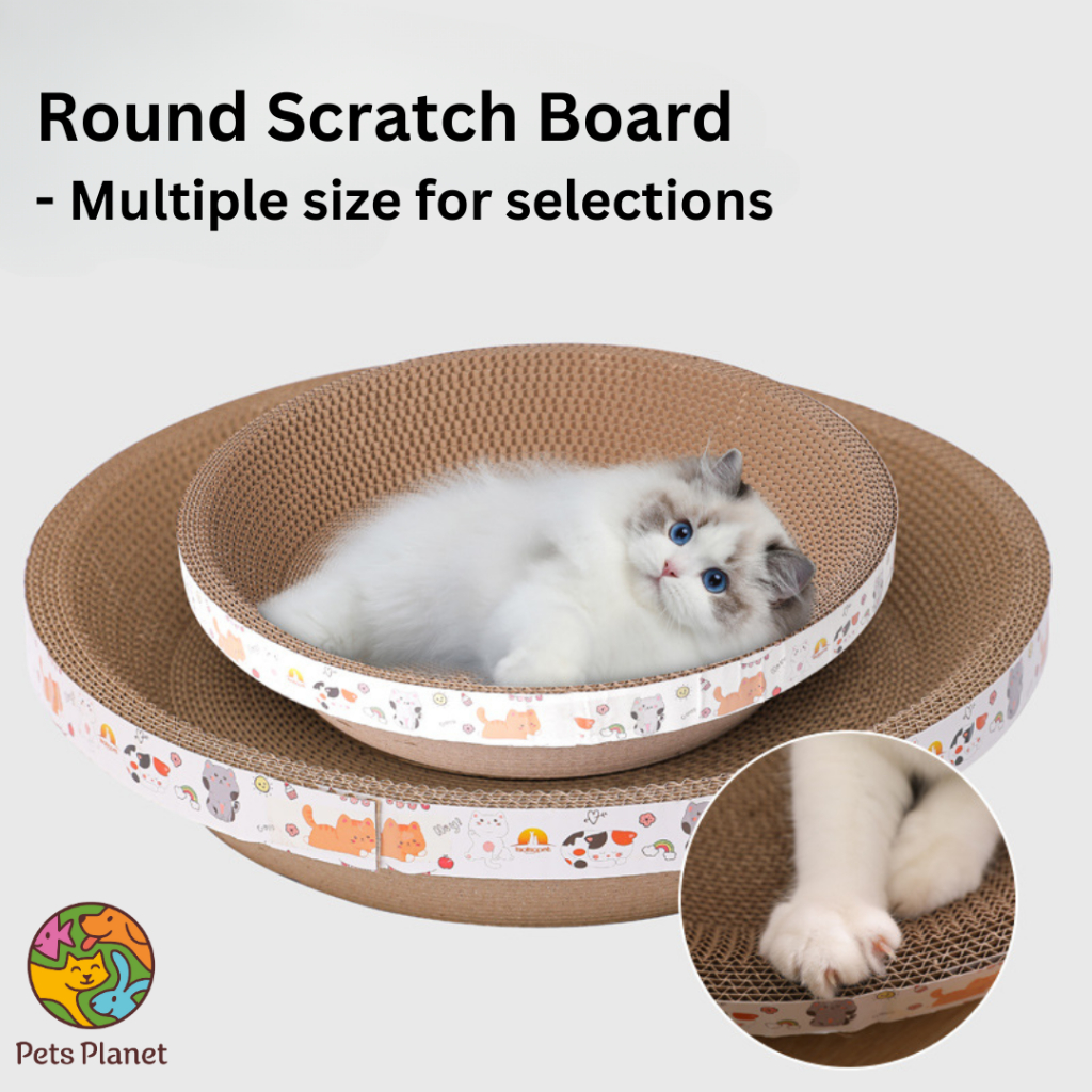 Round Shape Cat Scratching Board | Cat Scratcher Bed Mat Claws Care ...