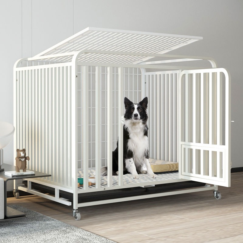 Dog Crate Medium Large Dog Bold Reinforcing Band Toilet Golden ...
