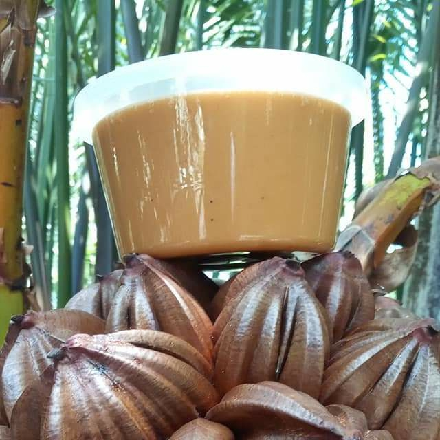 READY STOCK Gula Apong Original Kampung Tambak (530g++) | Shopee Malaysia