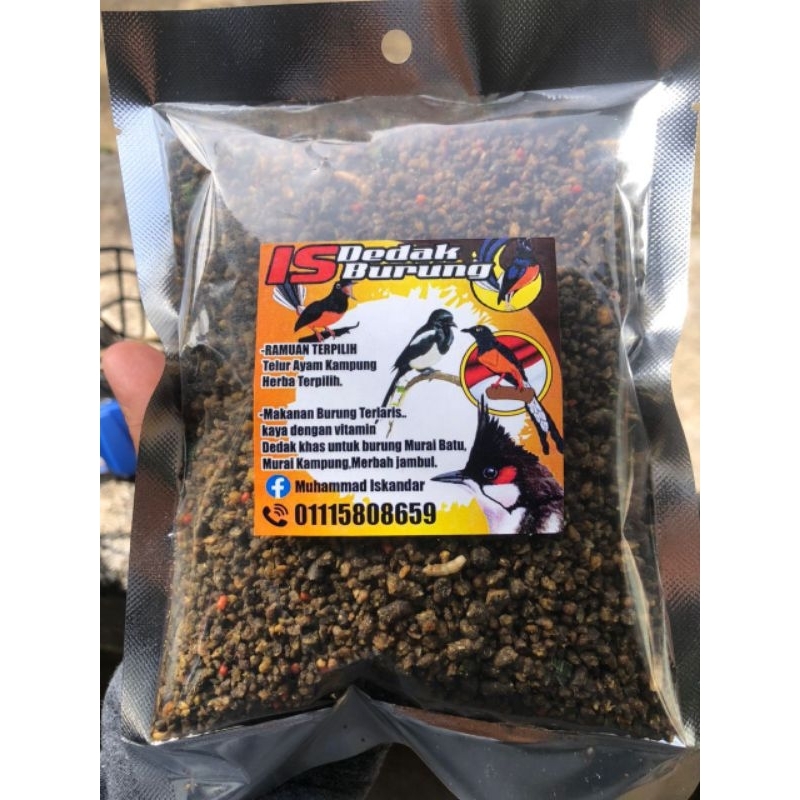 [ ORIGINAL ] 🔥 IS DEDAK BURUNG, DEDAK BURUNG MURAI BATU, MURAI KAMPUNG ...