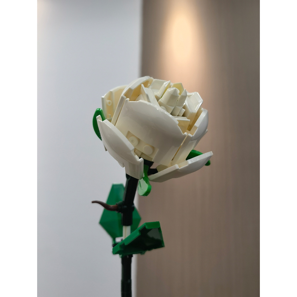 DIY Building Block Rose Flower Building Blocks Kit Flower Building ...