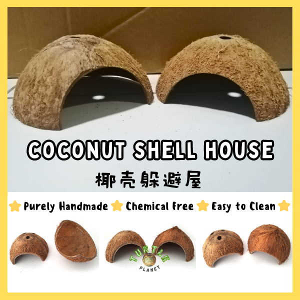 Natural Coconut Shell House Turtle Shelter Turtle Hideout Hermit Crab ...