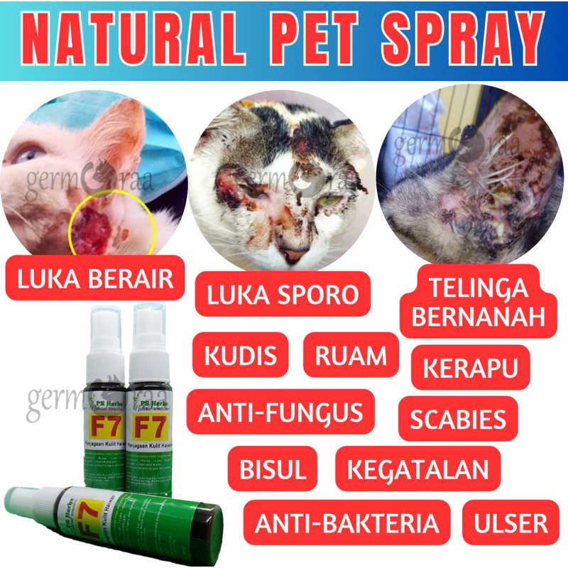 Natural Pet Spray Luka, Kurap, Ringworm, Gatal. Kucing, Dog, Puppy ...