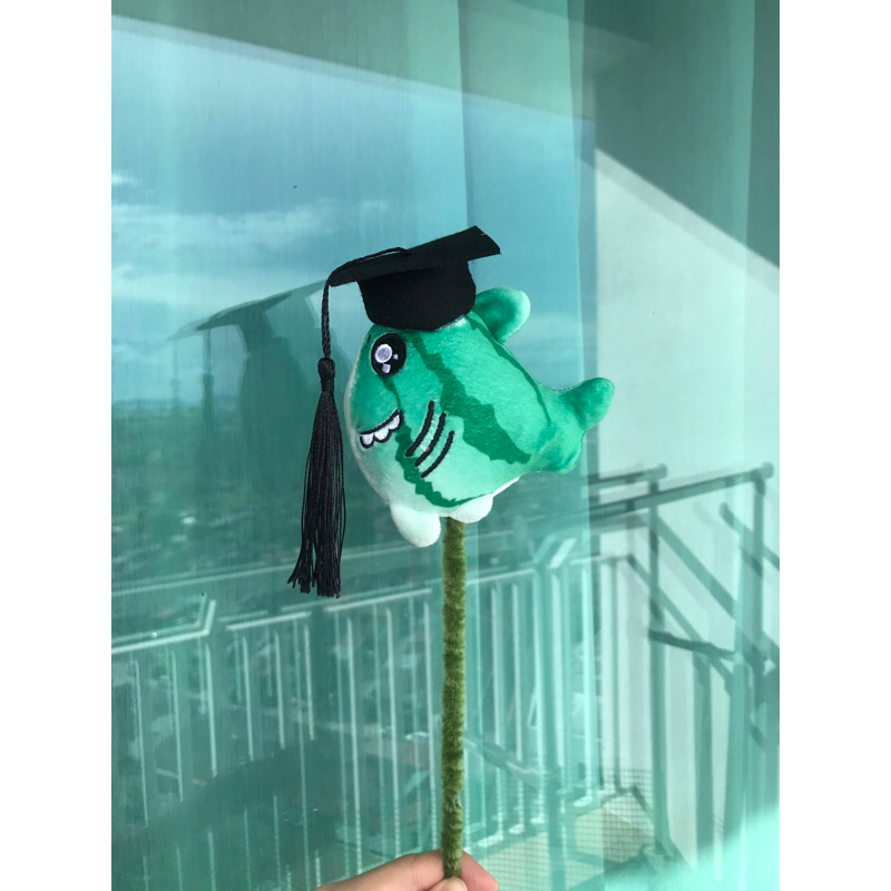 Graduation toy convocation plushie patung konvo 毕业娃娃公仔 | Shopee Malaysia