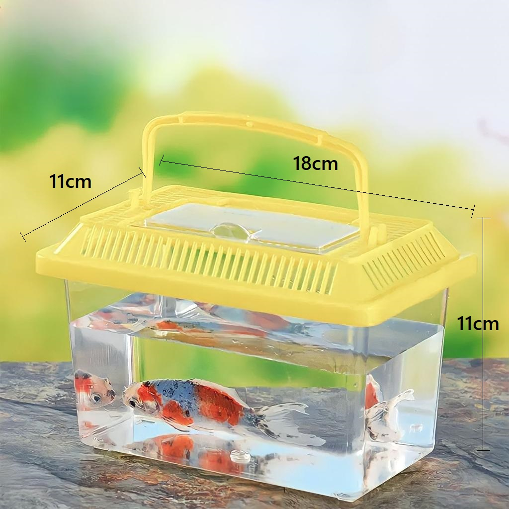 Portable Plastic Fish Tank Aquarium Betta Guppy Turtle Bekas Ikan ...