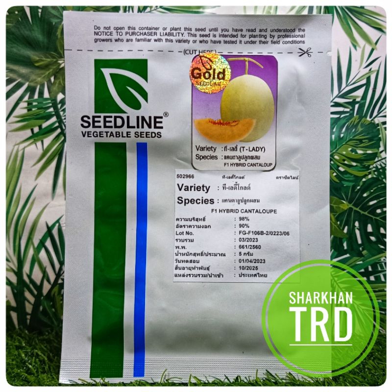 Paket 5g (150 Biji) T-LADY F1 Hybrid Cantaloupe Biji Benih Melon Putih Isi Oren Seedline ...