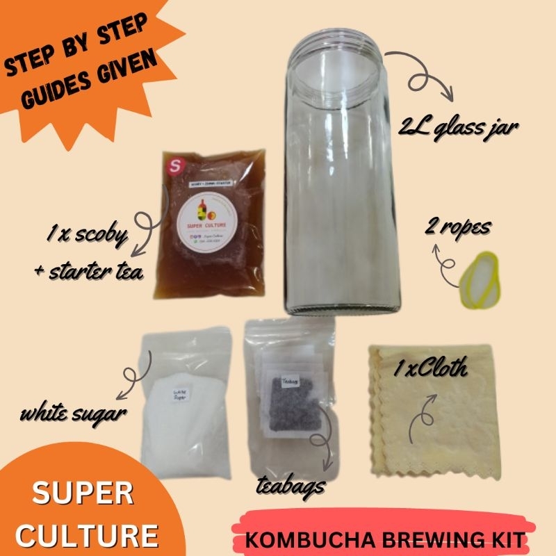[SUPER CULTURE] Kombucha Starter Kit Ready To Brew for Beginner | SCOBY ...