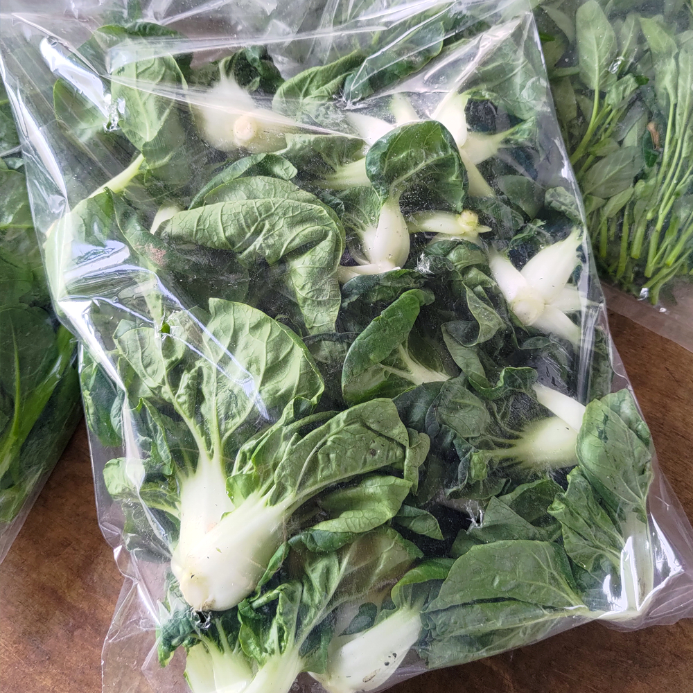 ORGANIC VEGETABLE - Nai Pak Choy / Milky Chinese Cabbage Sawi Susu 奶白菜 ...