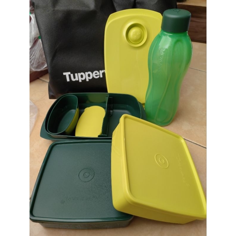 Tupperware Microwaveable Divided PURPLE Lunch Box 1L X1pc (High Quality ...