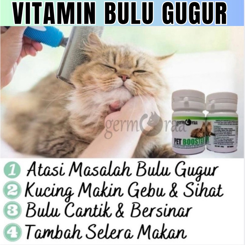 PET BOOSTER Vitamin Bulu Gugur Kucing Cat Healthy Hair Skin Coat ...