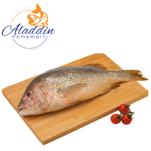 Ikan Jenahak Bersih (800-1000g) | Shopee Malaysia