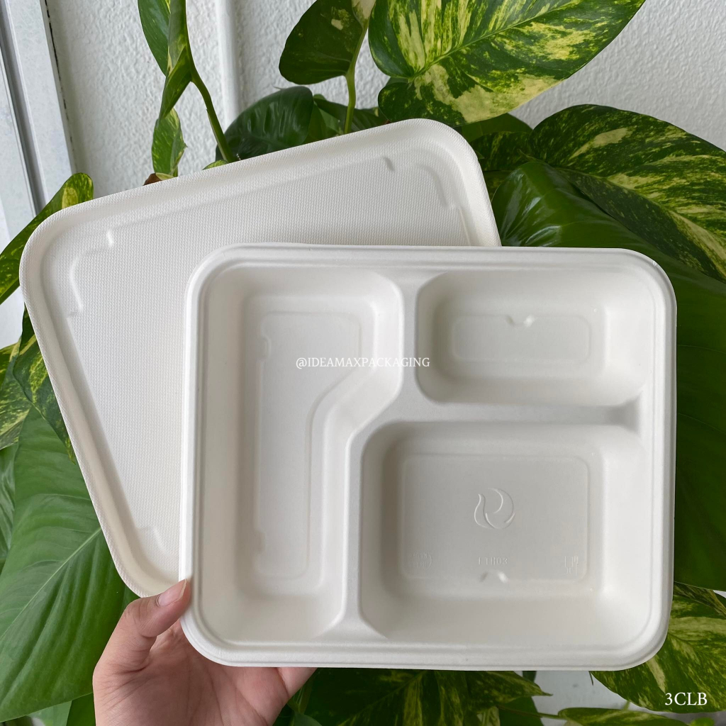 3 Compartment Sugarcane Biodegradable Lunch Box with cover (850ml ...