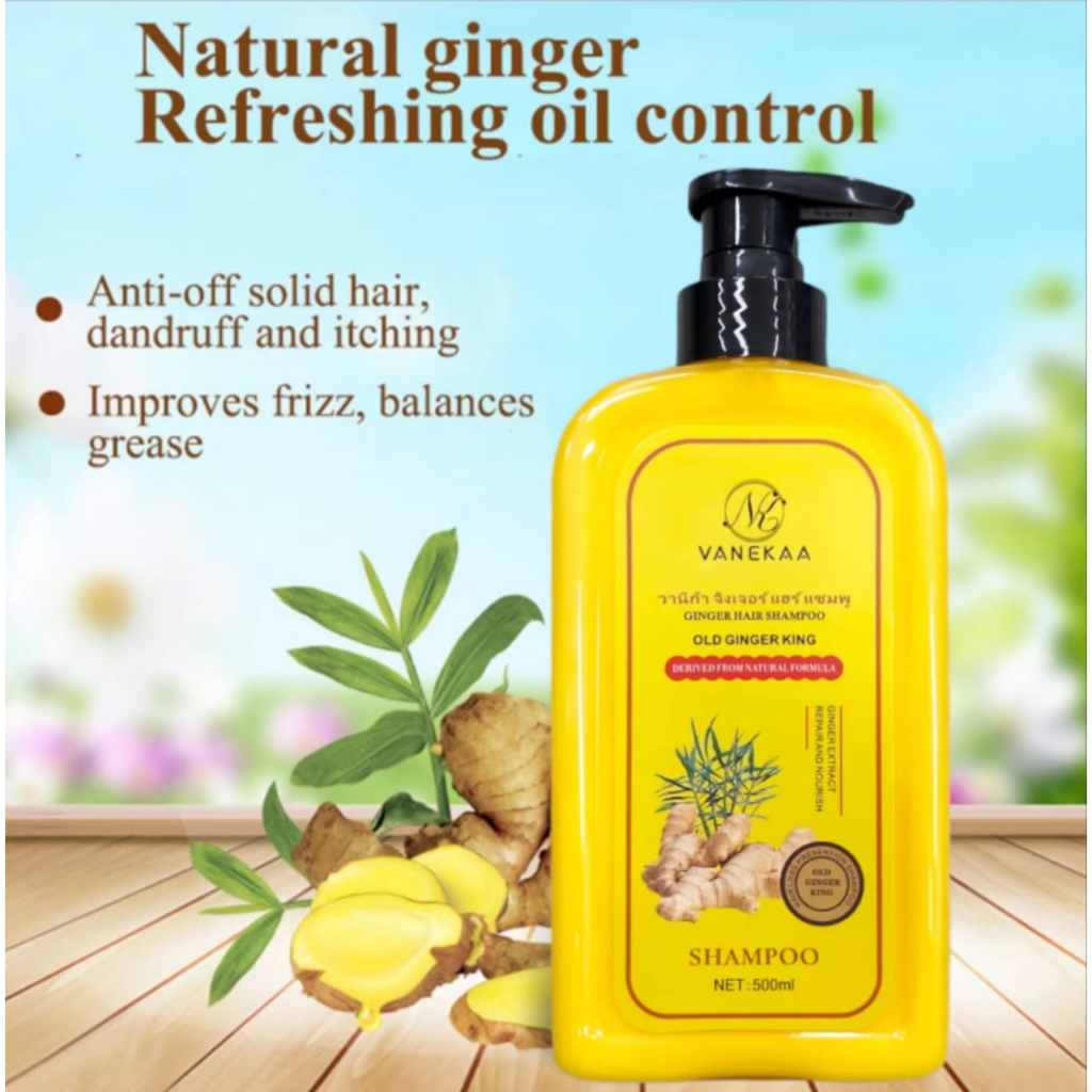 Ginger Shampoo Refreshing Pliable Ginger Nutrition Hair Care Anti ...