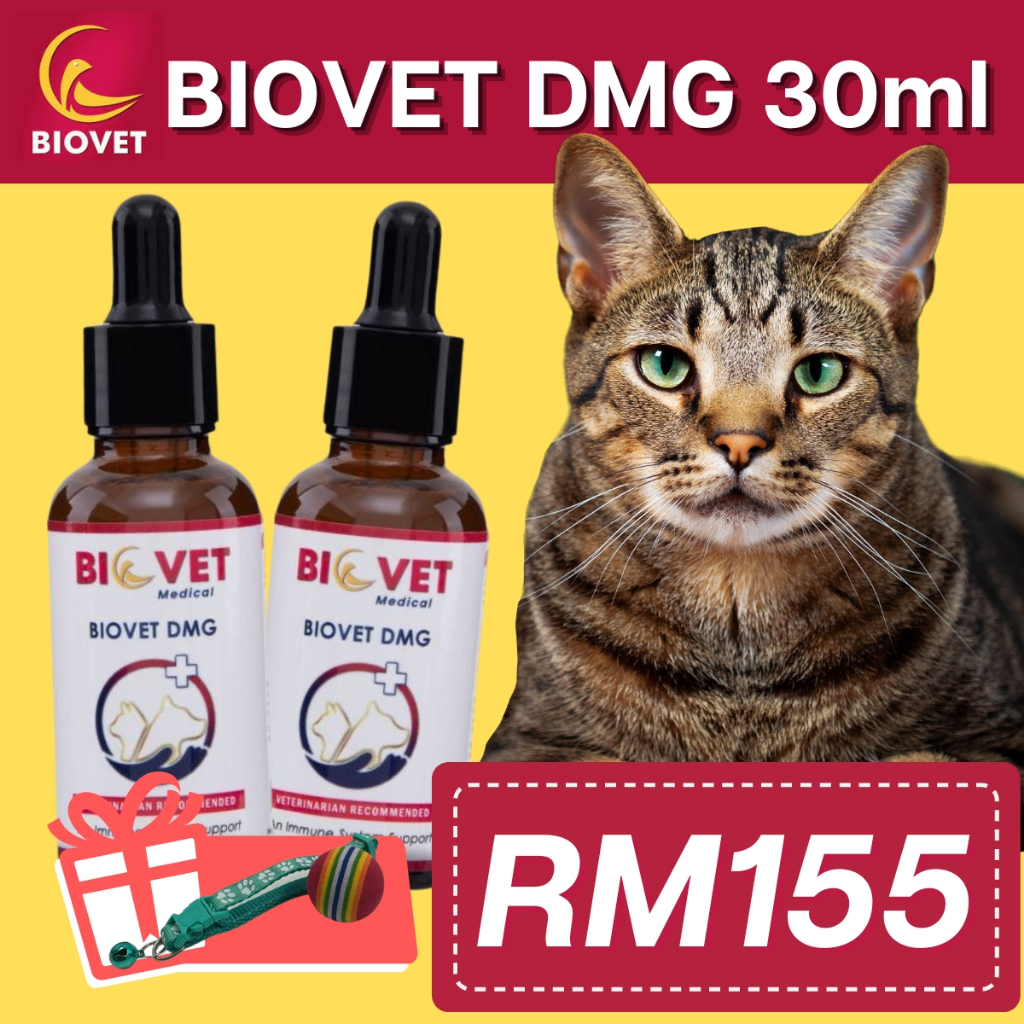 Original HQ Biovet DMG &Biovet Advanced Health Booster , Biovet Chubby Booster Cat Supplement ...