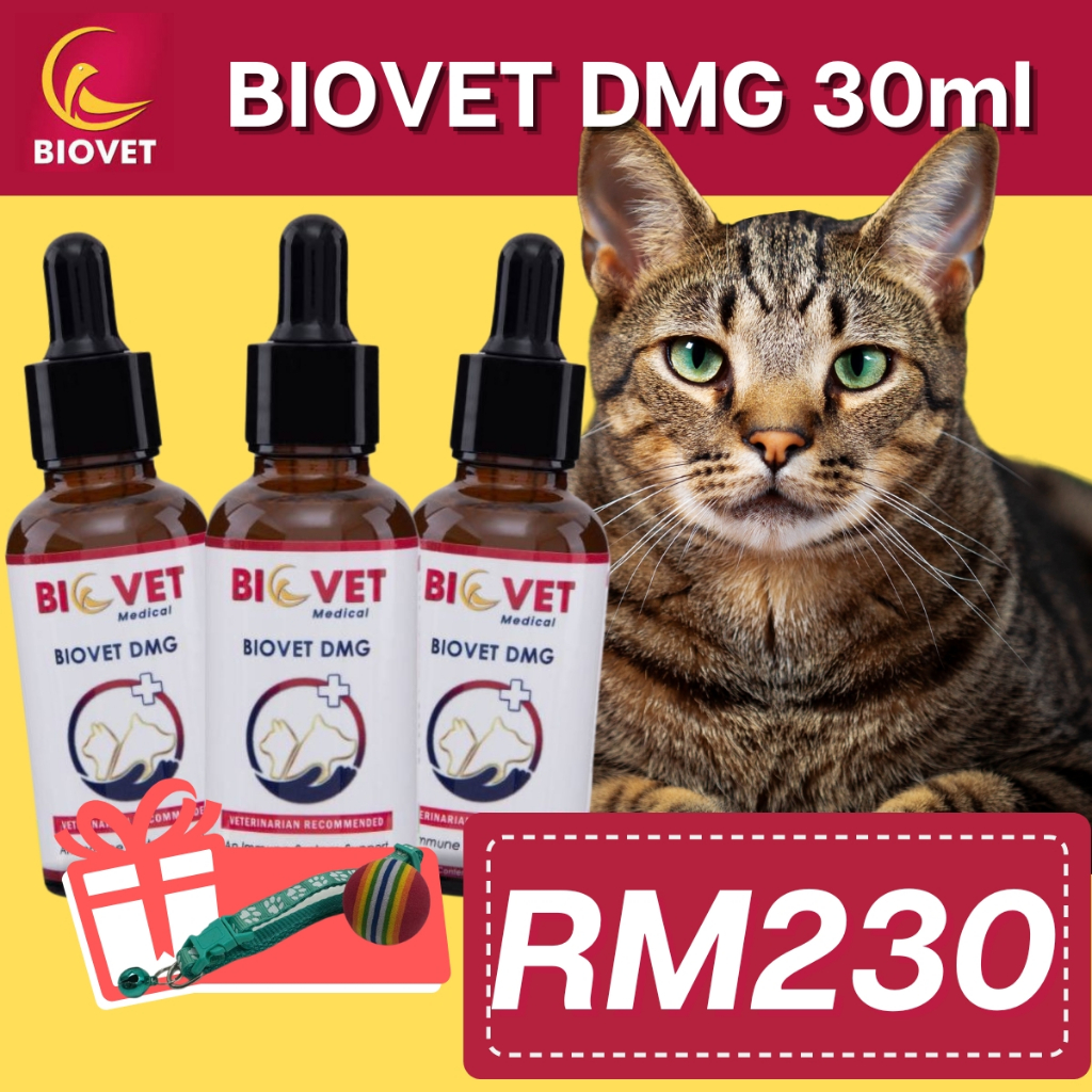 Original HQ Biovet DMG &Biovet Advanced Health Booster , Biovet Chubby ...