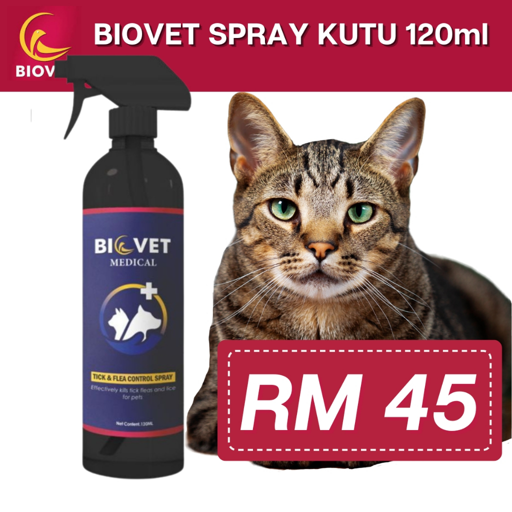 Original HQ Biovet DMG &Biovet Advanced Health Booster , Biovet Chubby Booster Cat Supplement ...