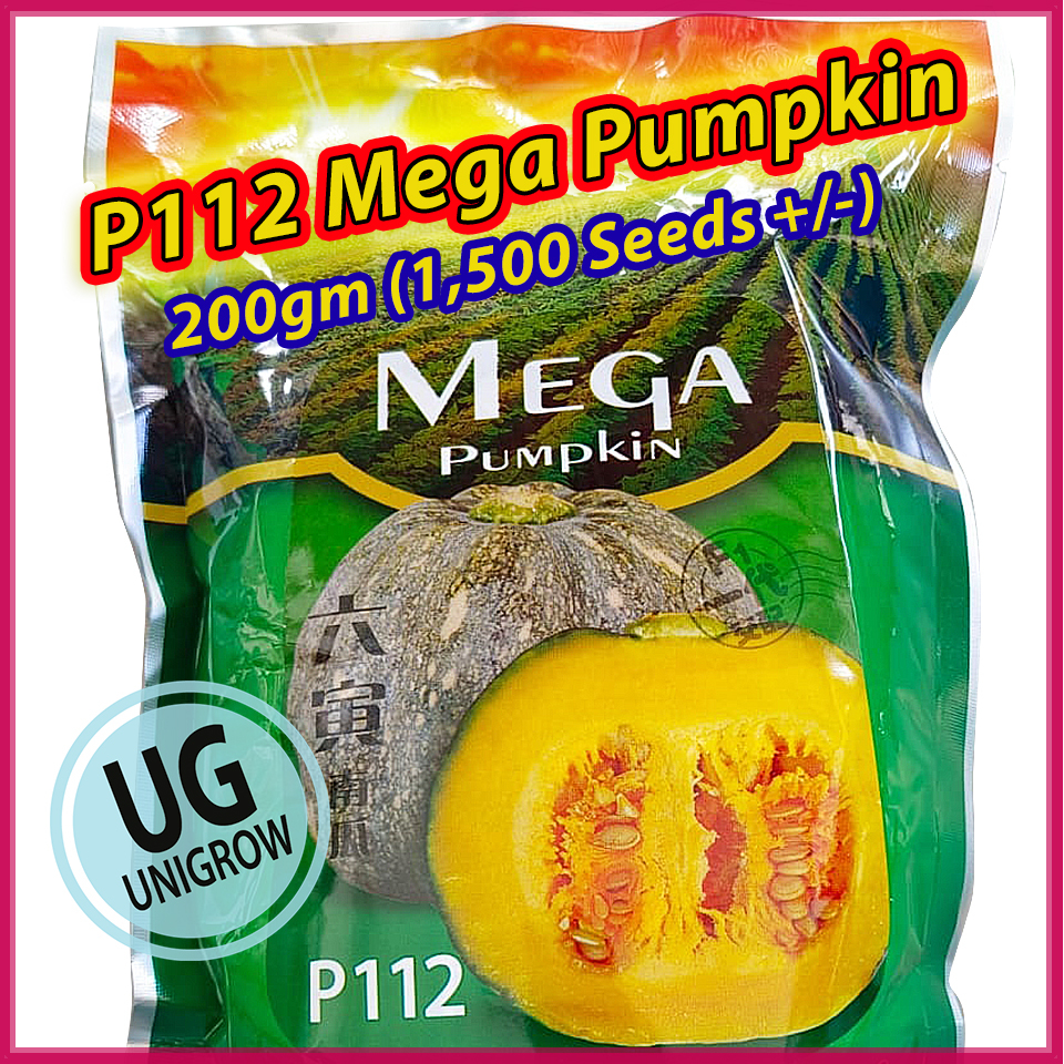 (200gm) +-1500 Biji F1 Mega P112 Labu Manis Benih Star Plant / Pumpkin ...