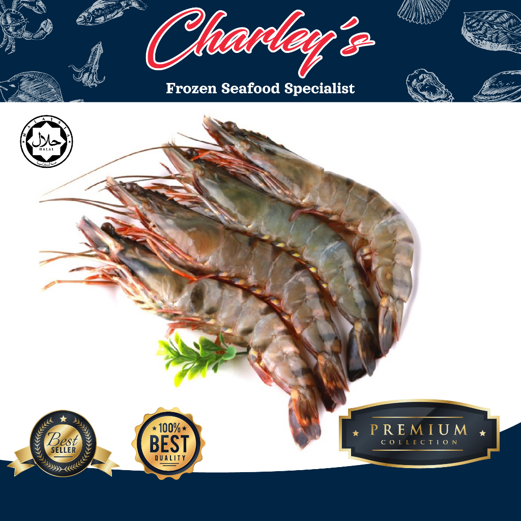 🔥 PREMIUM 🔥 TIGER PRAWN XXL/XL/L/M/S All Size | Shopee Malaysia