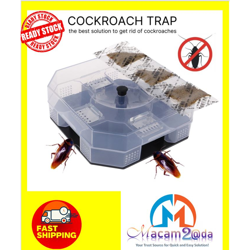 🌟Ready Stock🌟 Reusable Cockroach Trap Box Non-Toxic Insert Killer ...