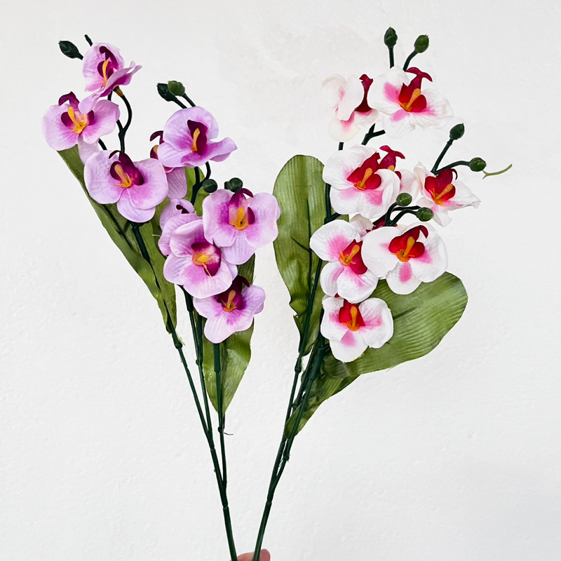 🇲🇾 Bunga orkid batang pendek | bunga orkid plastik| orchid flower ...
