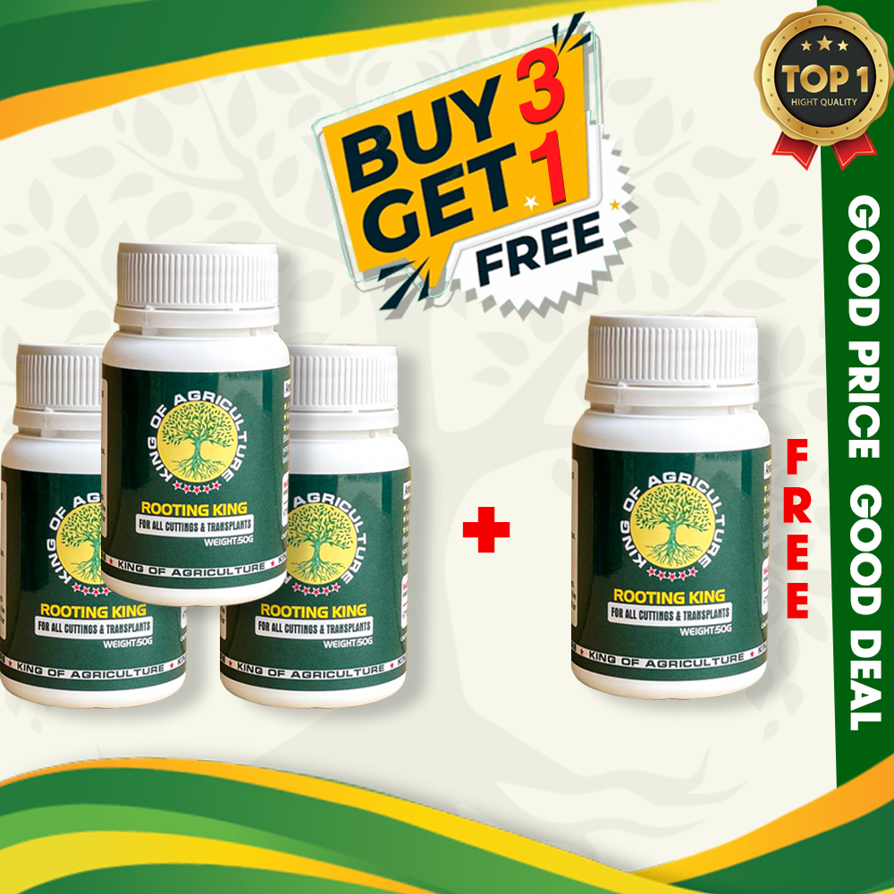 [Combo 3 FREE 1 Rooting King Powder] Perangsang akar, fertilizer - New ...