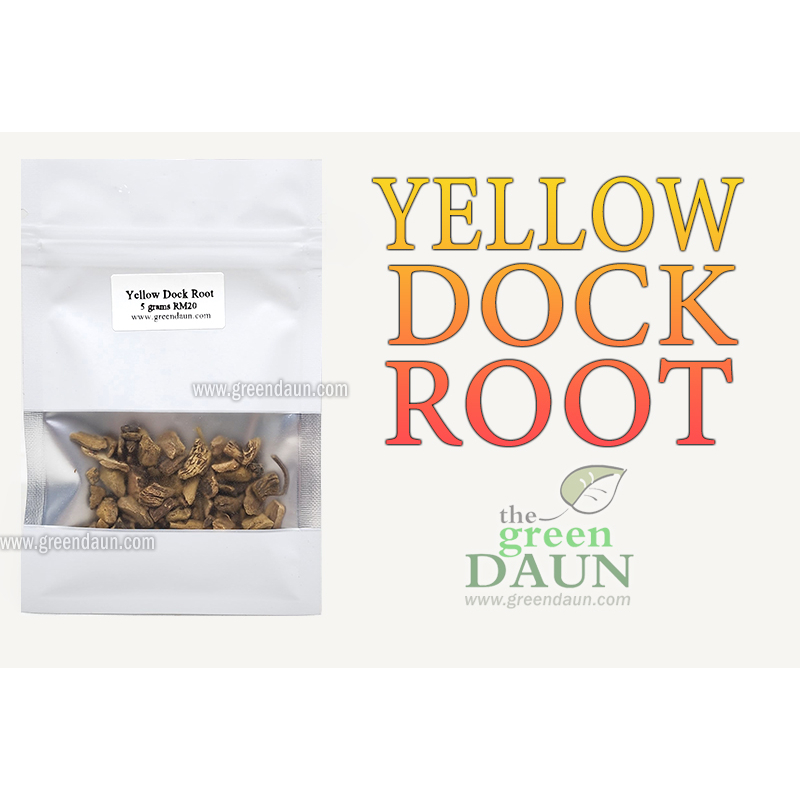 Yellow Dock Root Herbs for Attracting Abundance Business Money Love ...