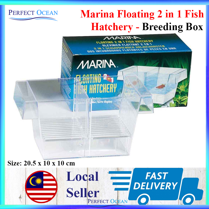Marina Floating Box Breeding Box 2 in 1 Bekas Ikan baru Lahir ...