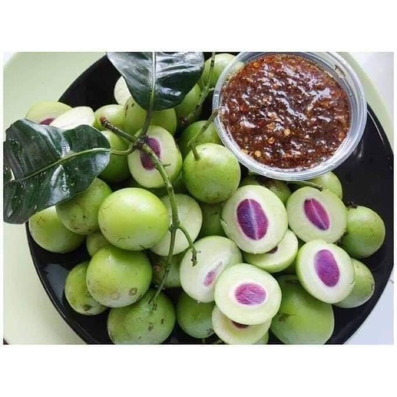 BUAH STAR PUTIK / BUAH REMIA PUTIK /BUAH KUNDANG PUTIK | Shopee Malaysia