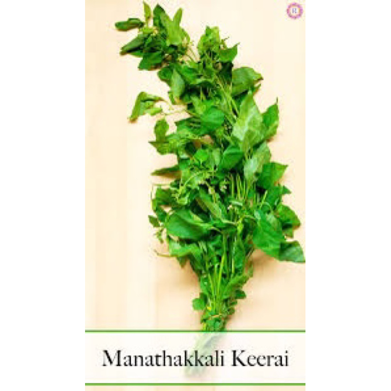 Pucuk Meranti / Black nightshade (Solanum Nigrum) / Manathakkali Keerai ...