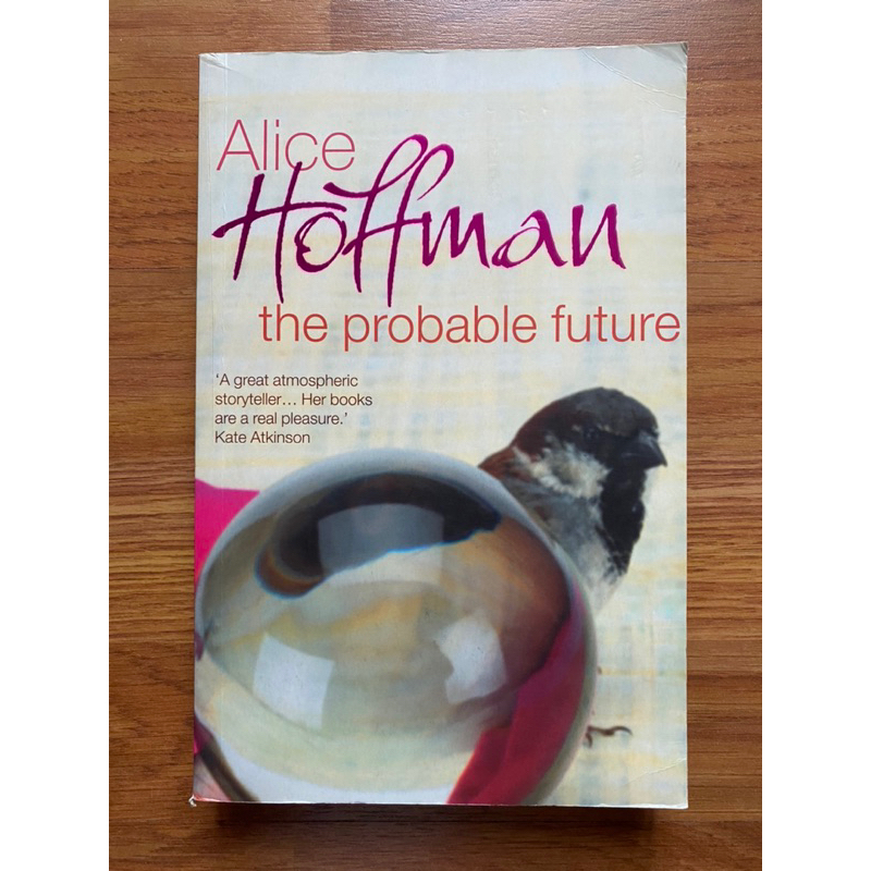 Probable Future by Alice Hoffman (Magical Realism - Fantasy ...