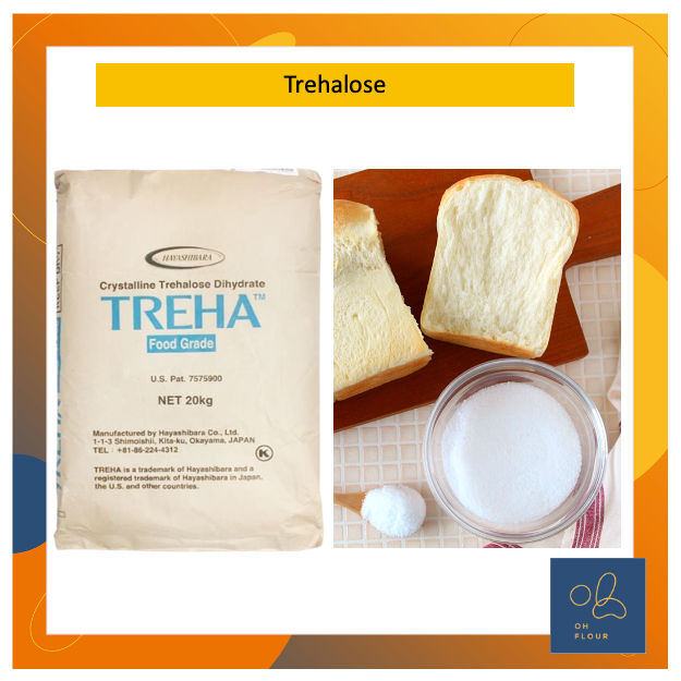Premium Trehalose Japan Sugar TREHA | 日本海藻糖 保湿 | Shopee Malaysia