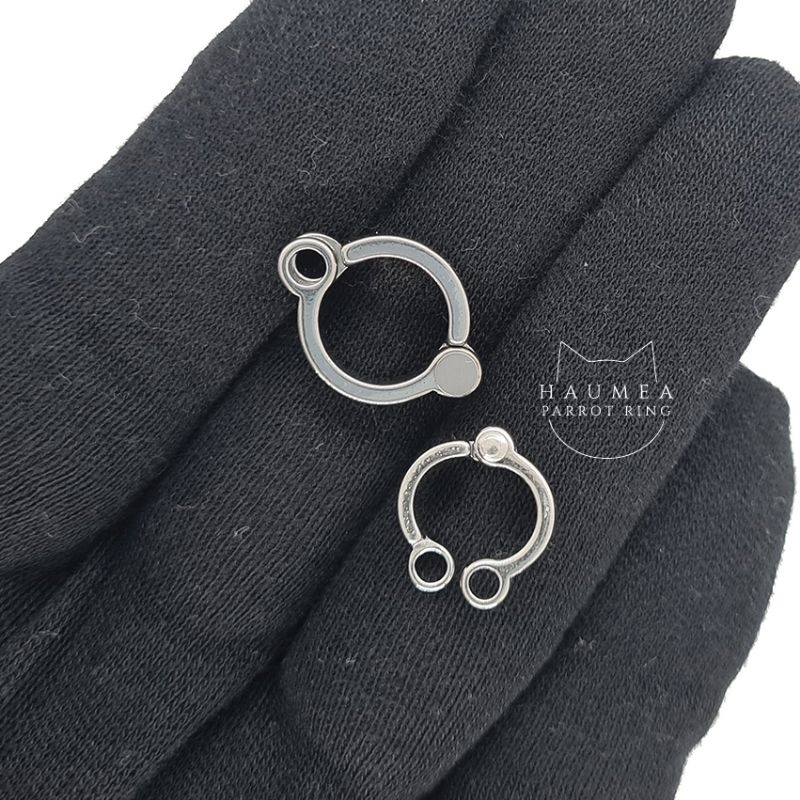Stainless Steel Clamp Ring for Parrot Bird (Customized Engraving ...