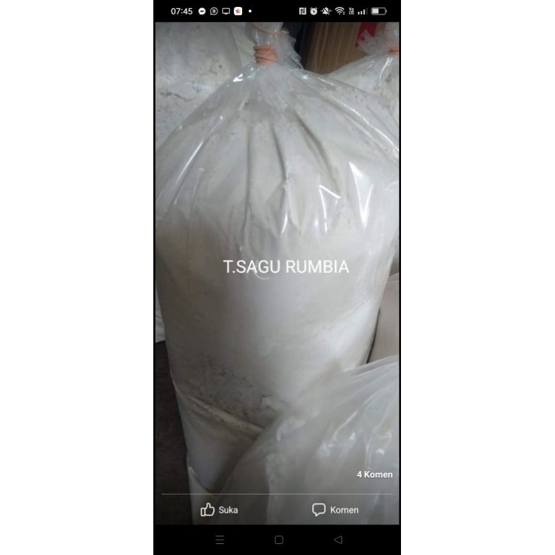 tepung sagu rumbia dari Indonesia raya BRT 1kg | Shopee Malaysia