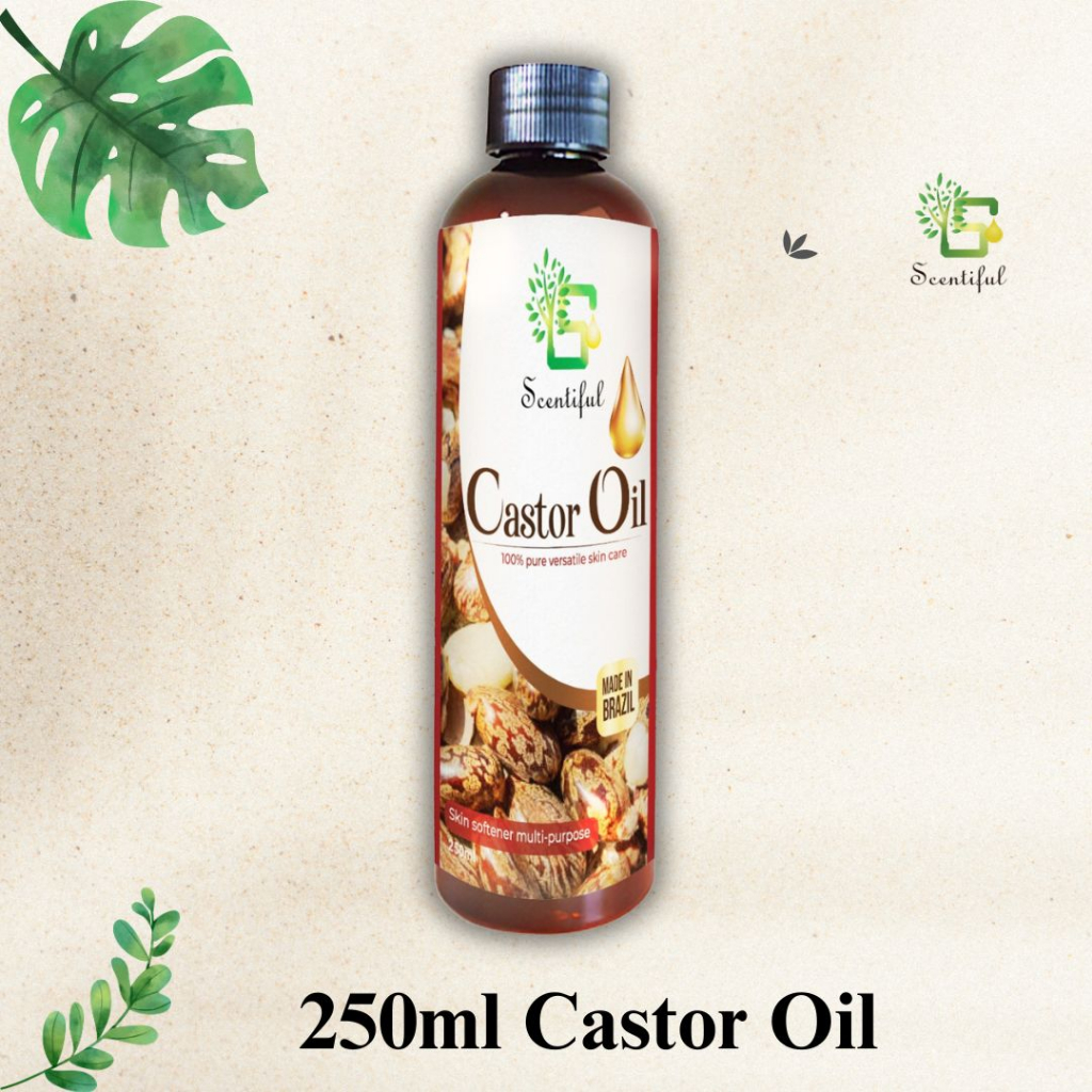 Organic Castor Oil / Golden -Cold Pressed / Minyak Castor - Pure ...