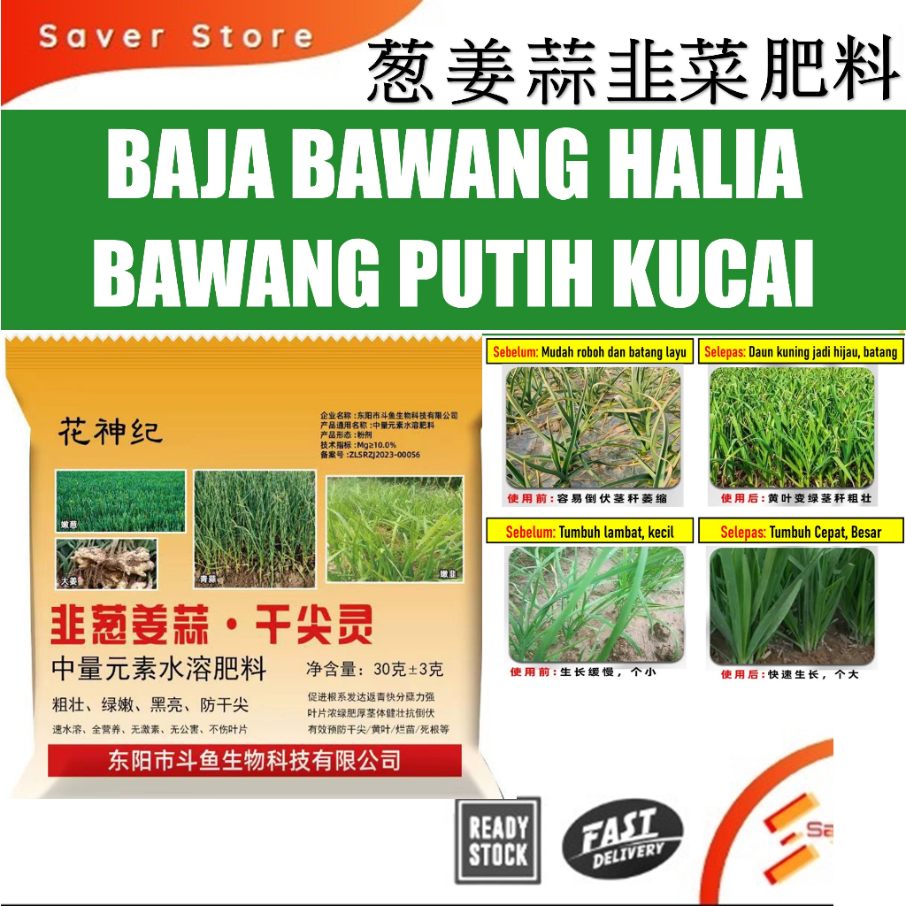 Baja Bawang Halia Bawang Putih Kucai Leek Scallion Ginger, Garlic ...
